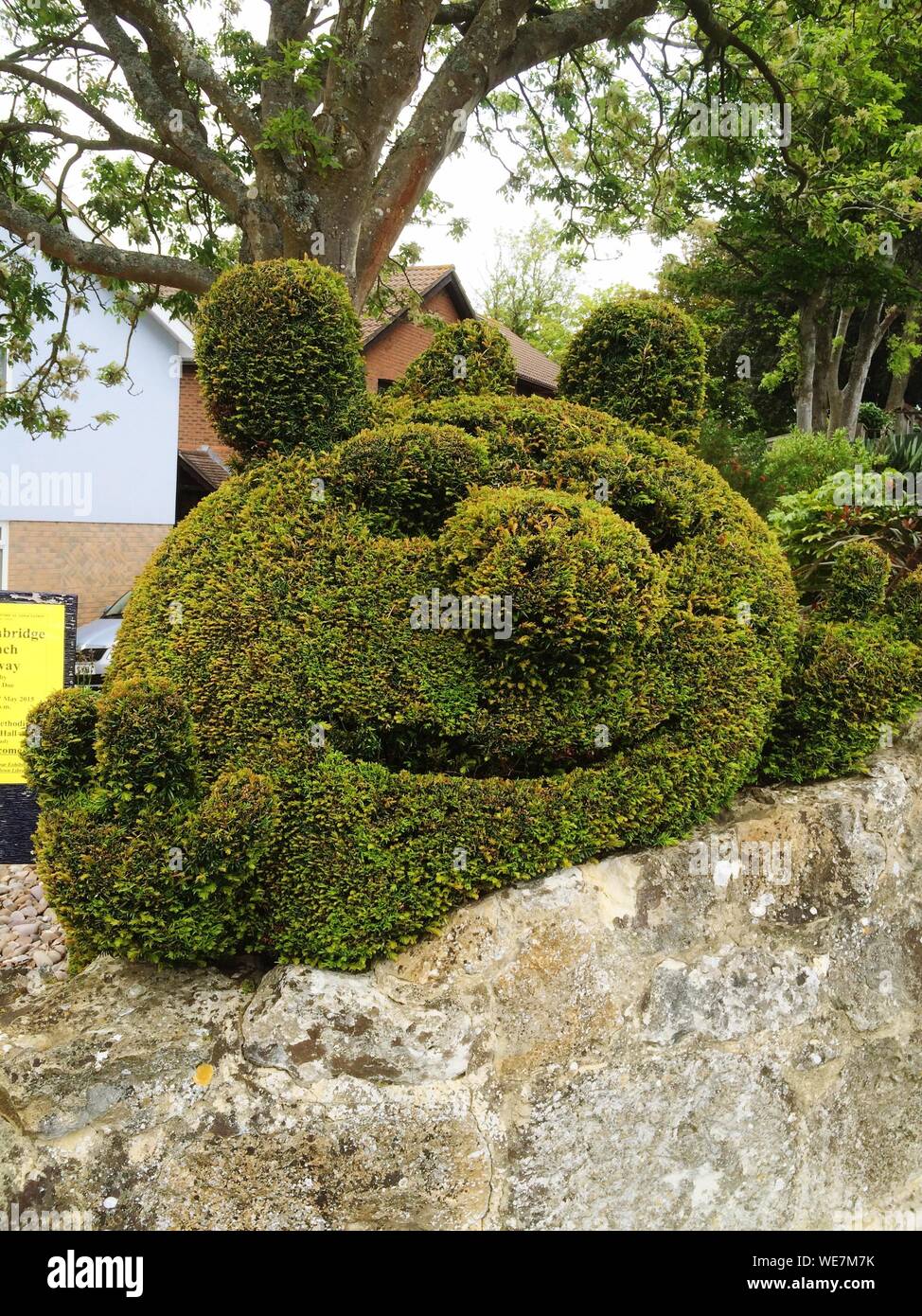 Face topiary hi-res stock photography and images - Alamy