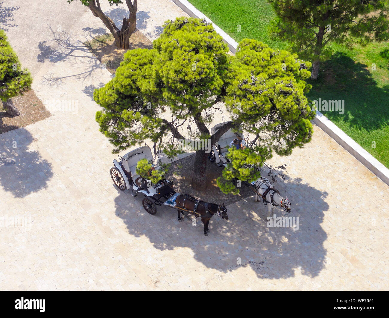 Two horse carts hi-res stock photography and images - Alamy