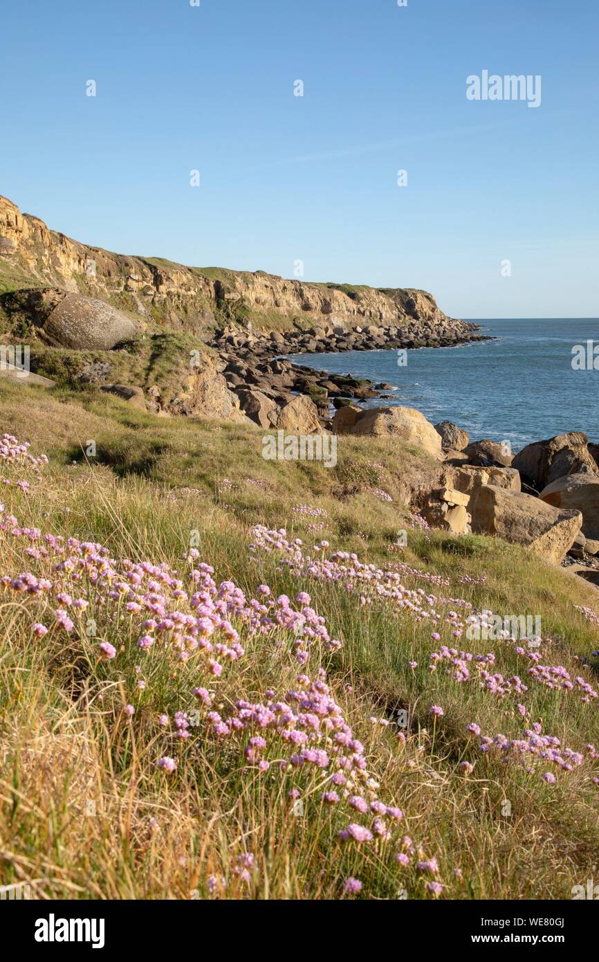 France, Pas de Calais, Cote d'Opale, Parc naturel regional des Caps et ...