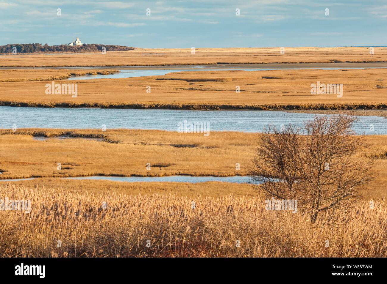 Fort hill cape cod hi-res stock photography and images - Alamy