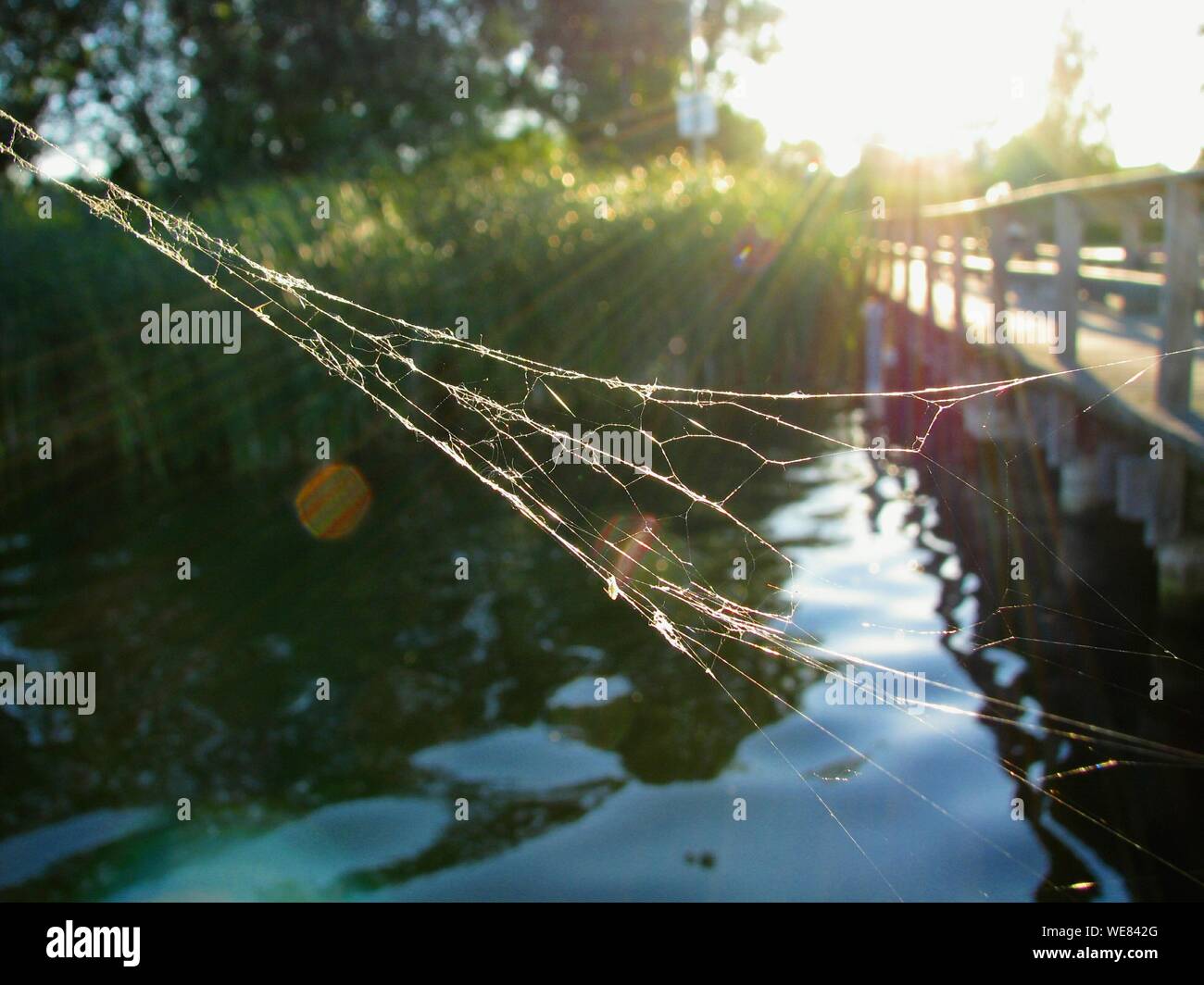 Spider web river hi-res stock photography and images - Alamy