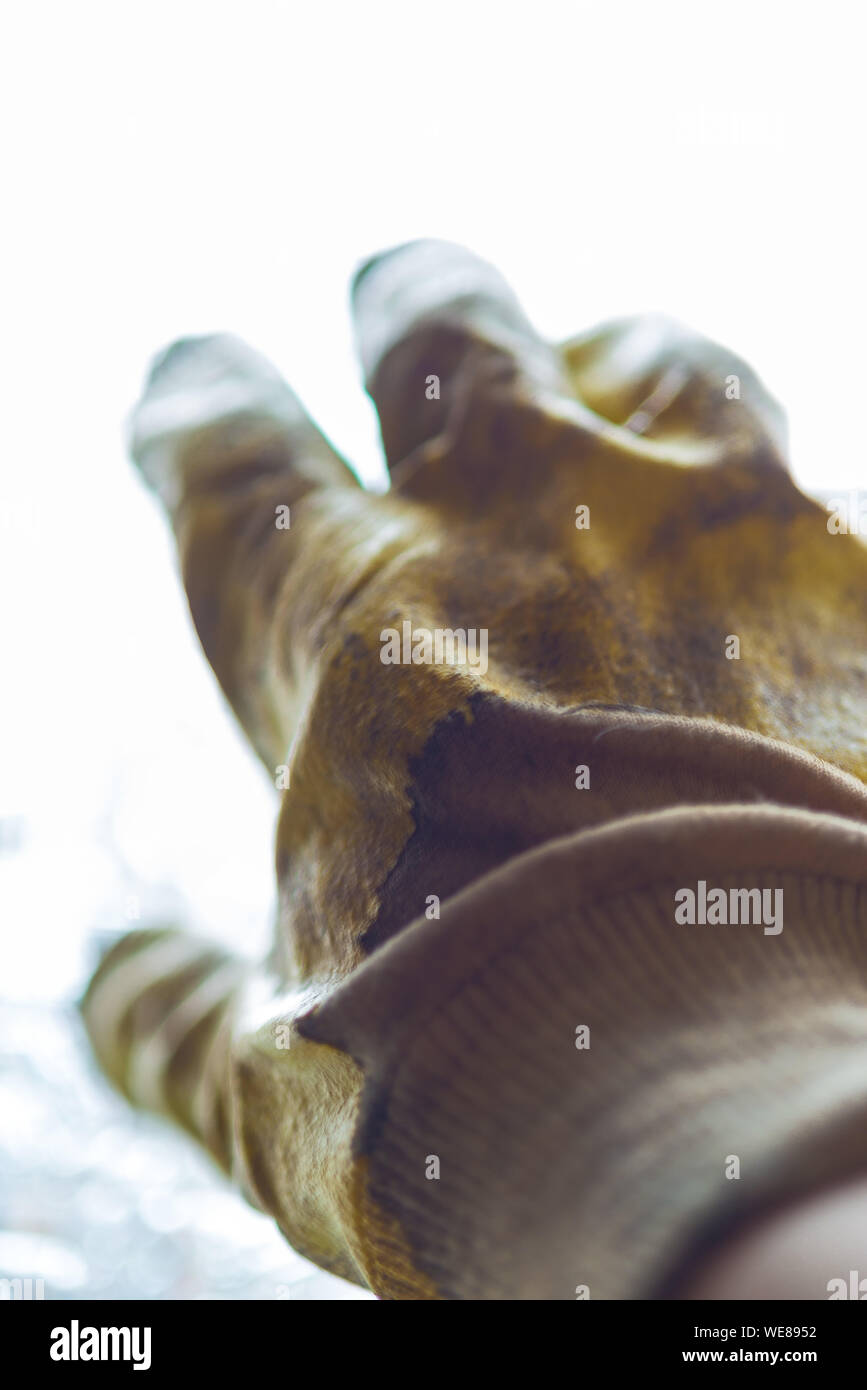 Close gloved hi-res stock photography and images - Alamy