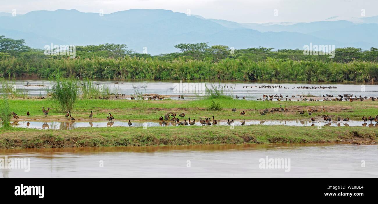 Rusizi hi-res stock photography and images - Alamy