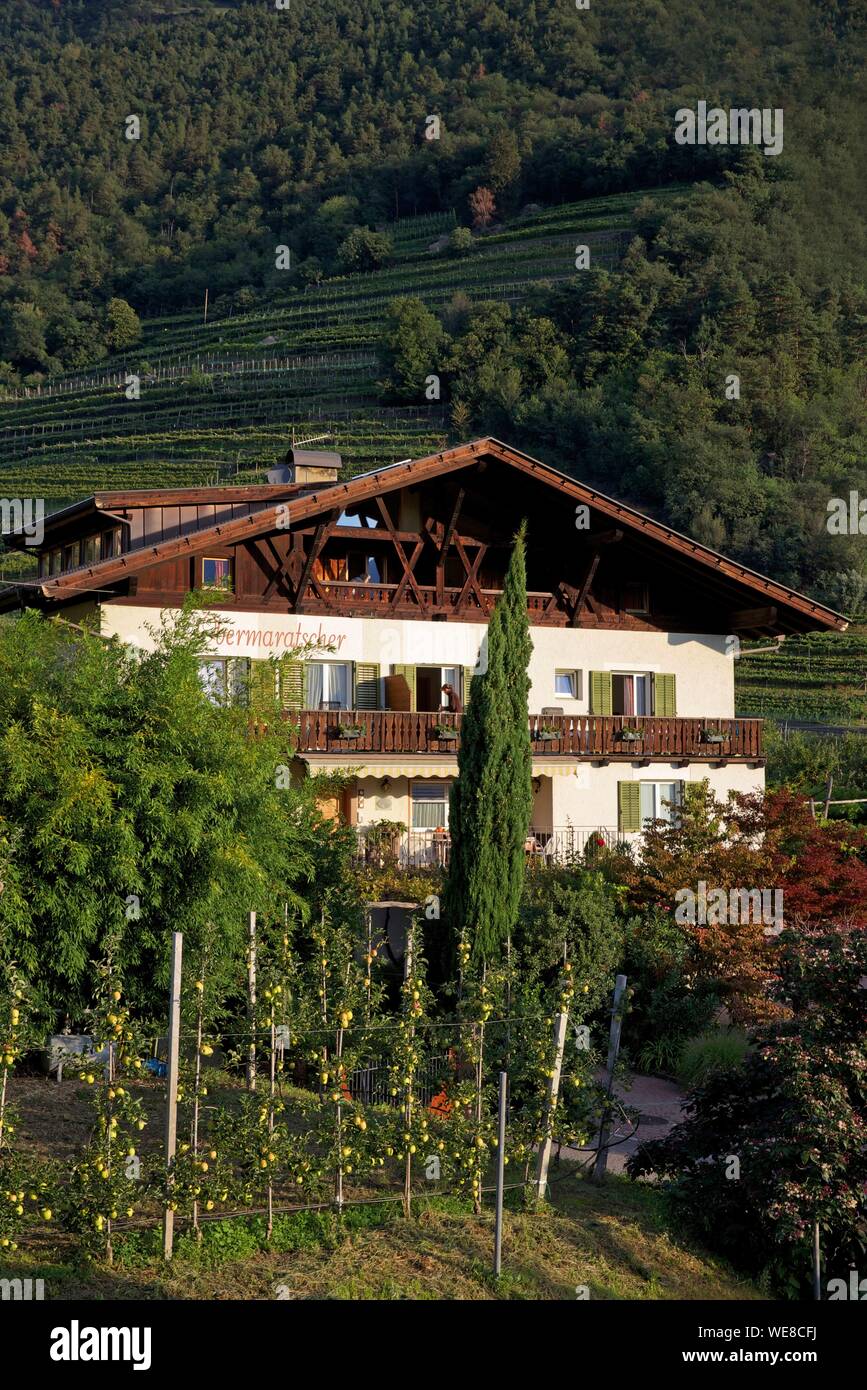 Italy, autonomous province of Bolzano, Merano, roof chalet and wooden ...