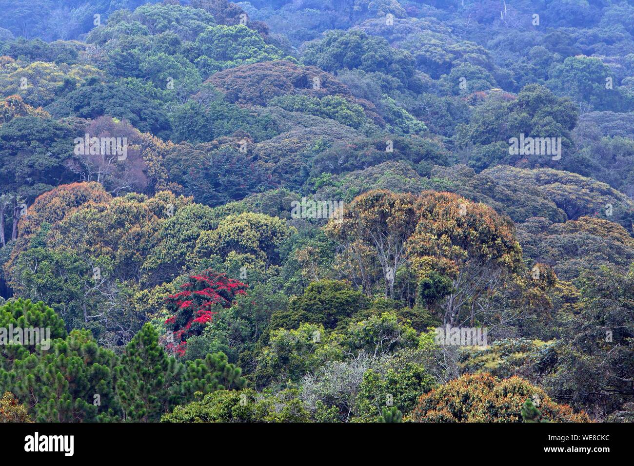 Reserve national park hi-res stock photography and images - Alamy