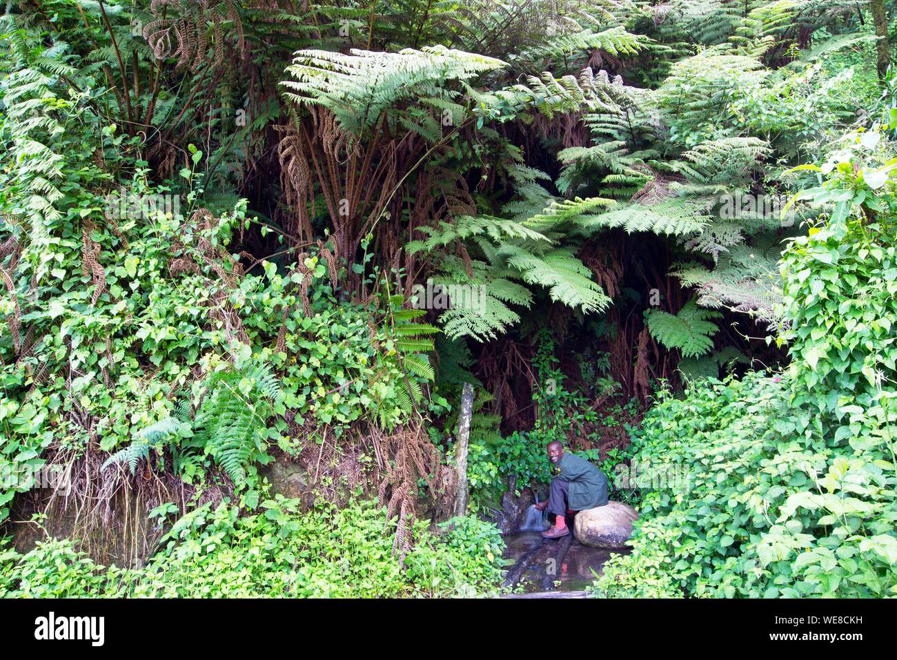 Reserve national park hi-res stock photography and images - Alamy