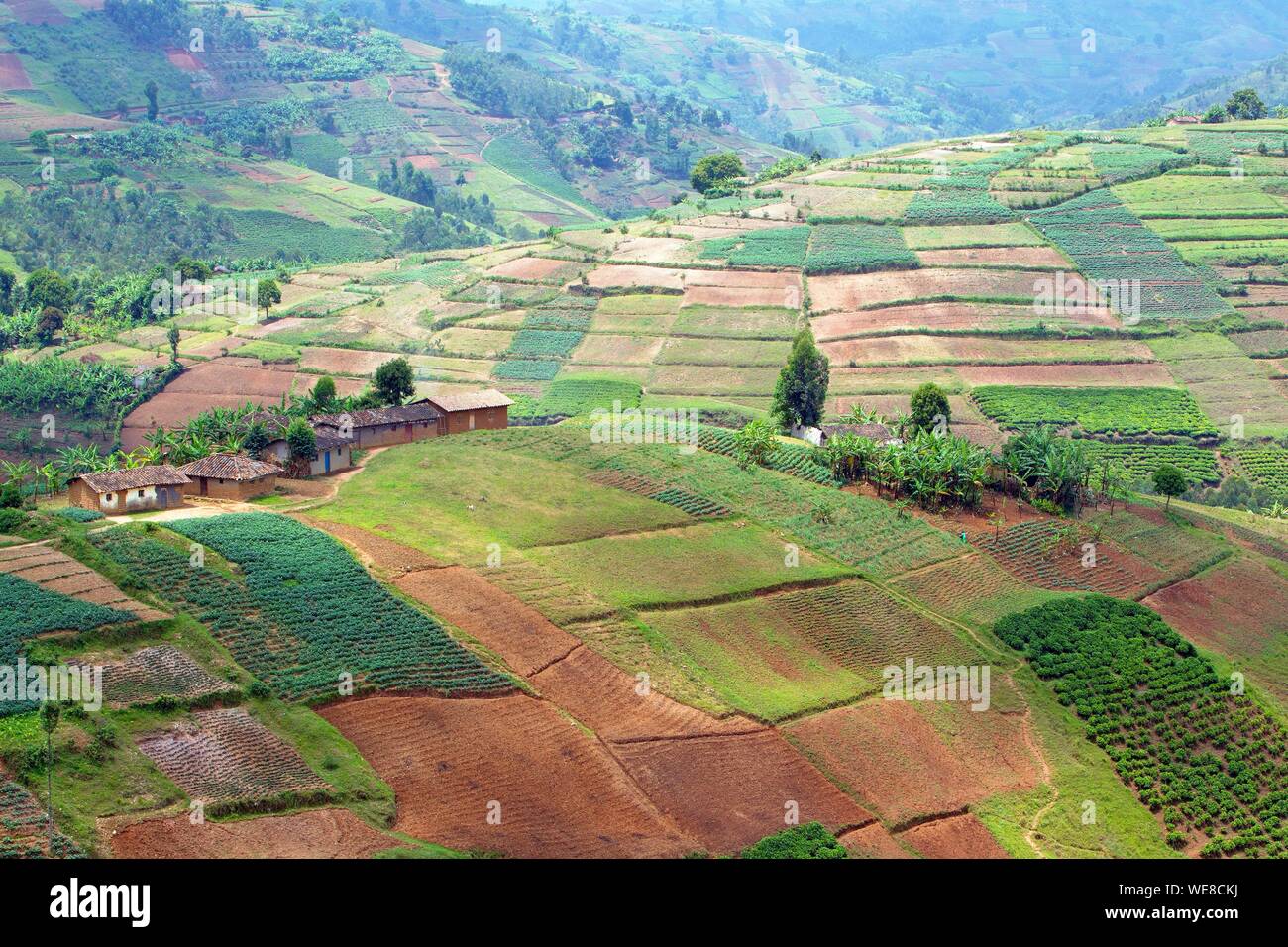 Burundi, Buyenzi, Trays, country with a thousand hills, agriculture ...