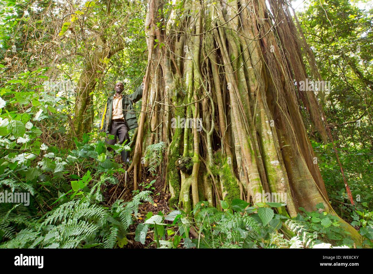 Burundi landscape hi-res stock photography and images - Alamy