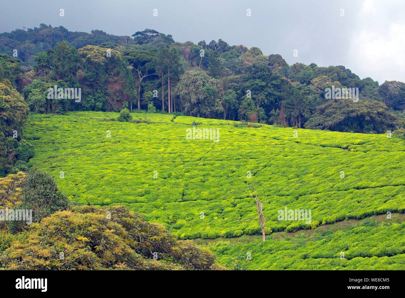 Reserve national park hi-res stock photography and images - Alamy