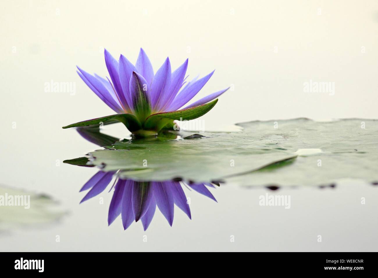 Bugesera High Resolution Stock Photography and Images - Alamy