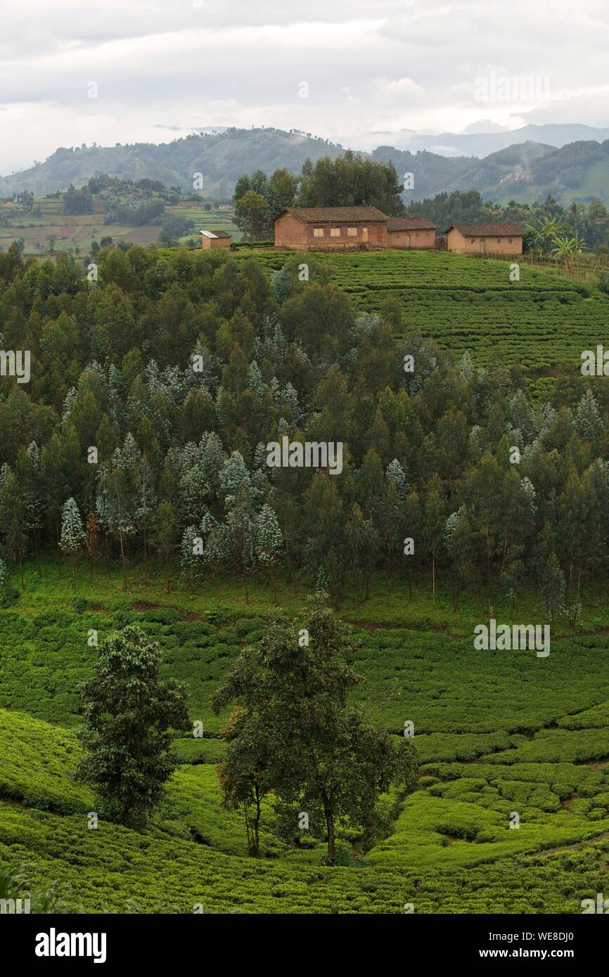 Rwanda house hi-res stock photography and images - Alamy
