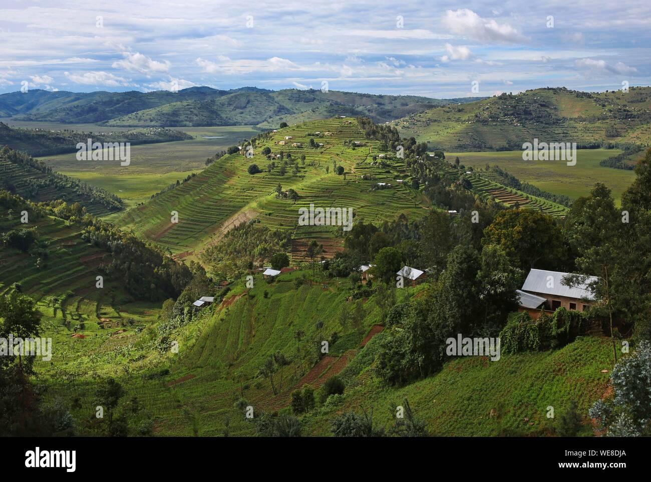 Rwanda, center of the country, houses with tin roofs set on green hills ...
