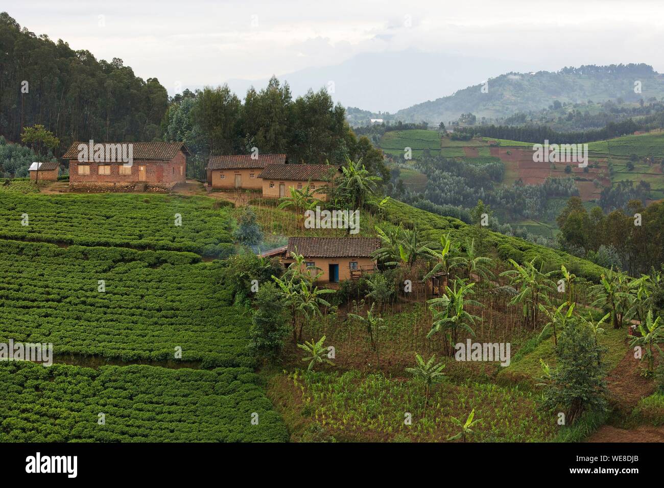 Rwanda house hi-res stock photography and images - Alamy