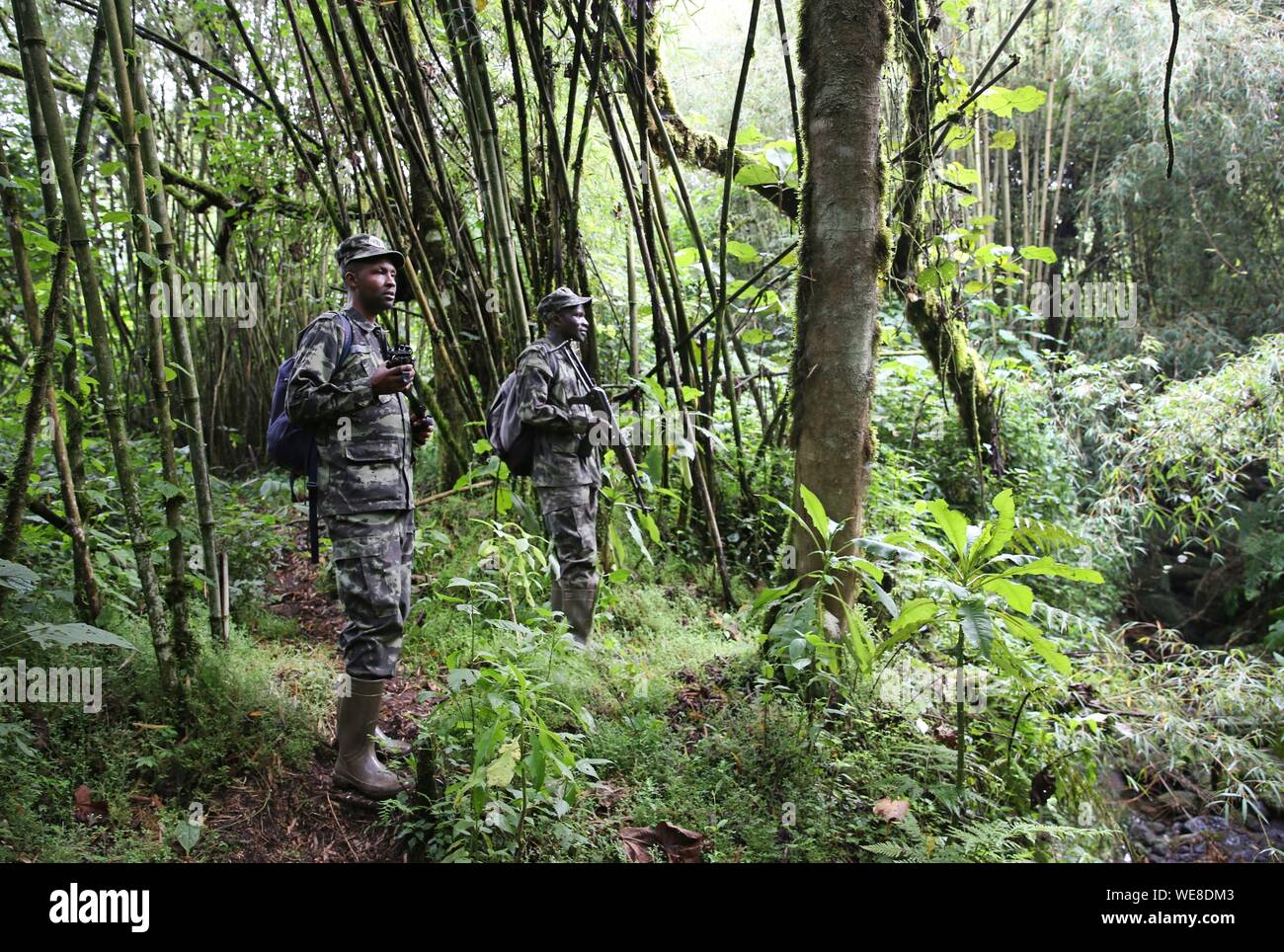 National park rangers uniform hi-res stock photography and images - Alamy