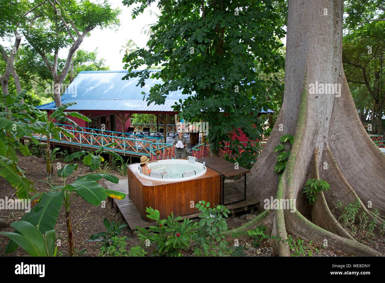 Cotton tree beach hi-res stock photography and images - Alamy