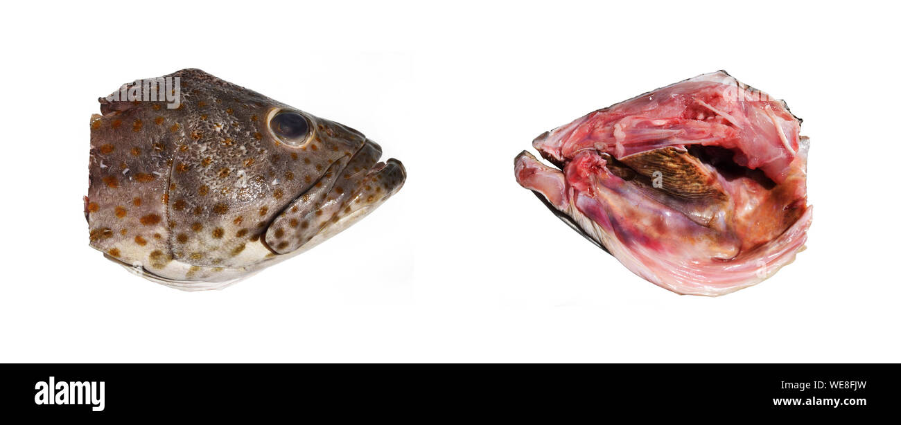 The head of the Orange-spotted grouper fish is cut then for cooking ...