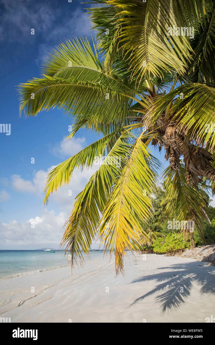 Seychelles, Praslin, Anse Volbert, beach Stock Photo - Alamy
