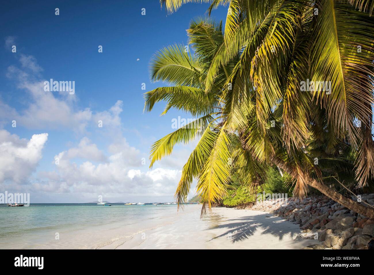 Seychelles, Praslin, Anse Volbert, beach Stock Photo - Alamy