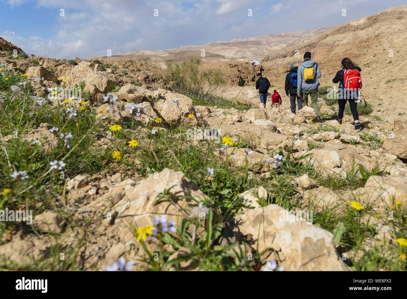 Israel, Judean and Samaria region, Judean desert, trekking at Kfar ...