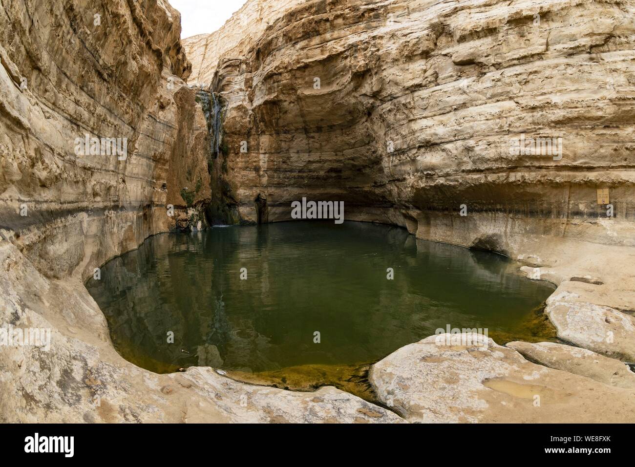 Israel, South District, Negev Desert, Ein Avdat Canyon Stock Photo - Alamy