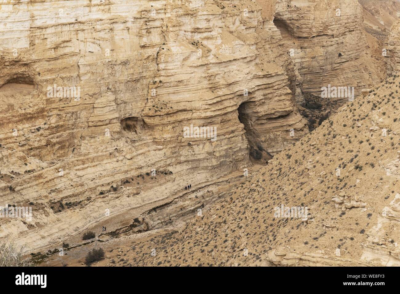 Israel, South District, Negev Desert, Ein Avdat Canyon Stock Photo - Alamy