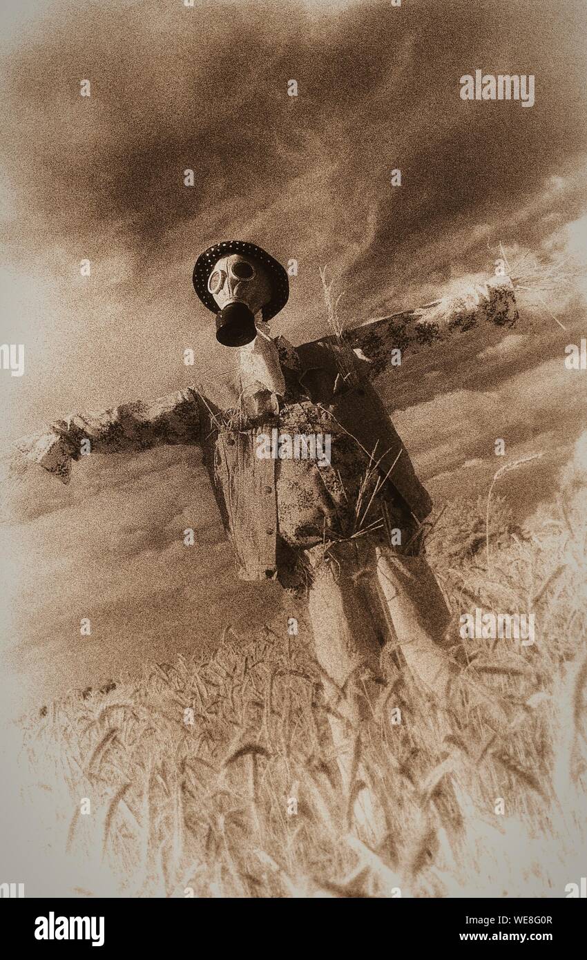 Scarecrow In Farm High Resolution Stock Photography and Images - Alamy