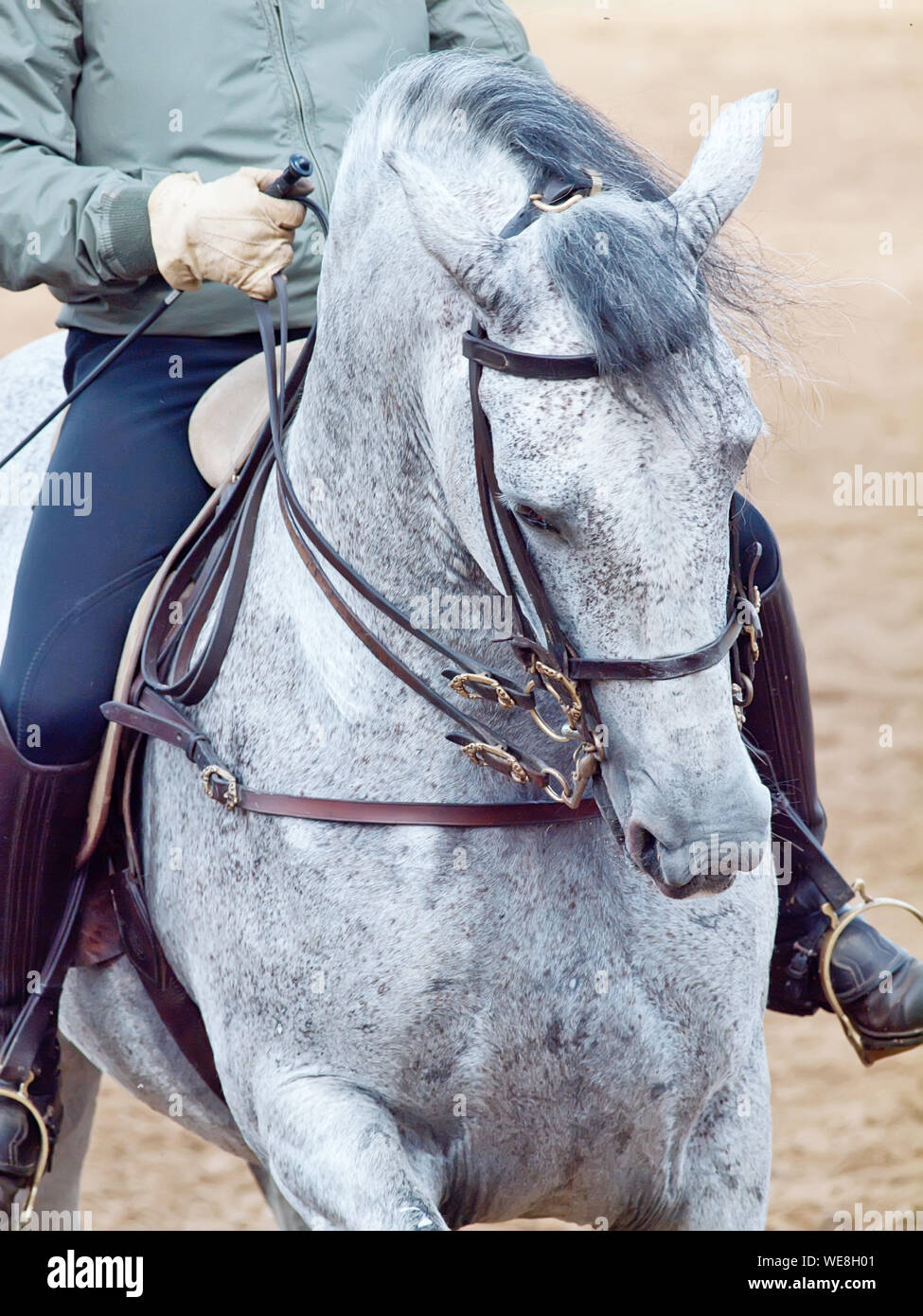 Riding ranch hi-res stock photography and images - Alamy