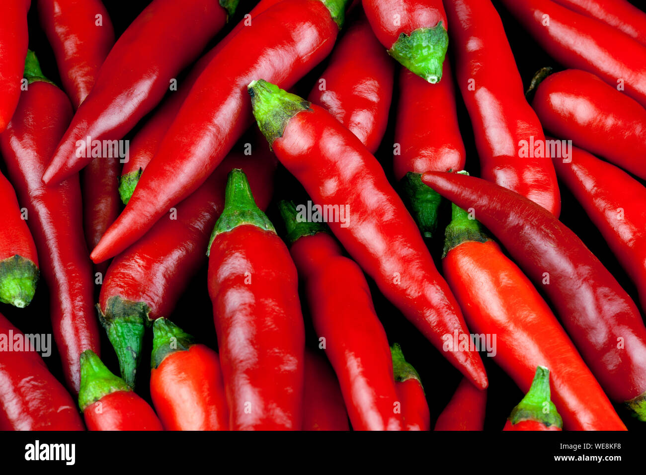 A close up view of a stack of small fiery red chilli peppers Stock ...