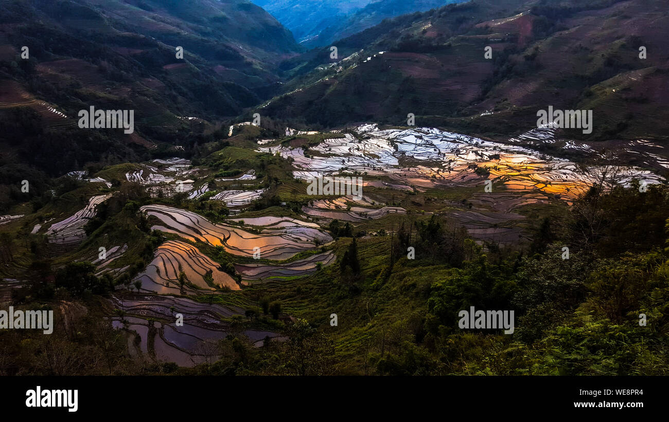 Rice paddies aerial hi-res stock photography and images - Alamy
