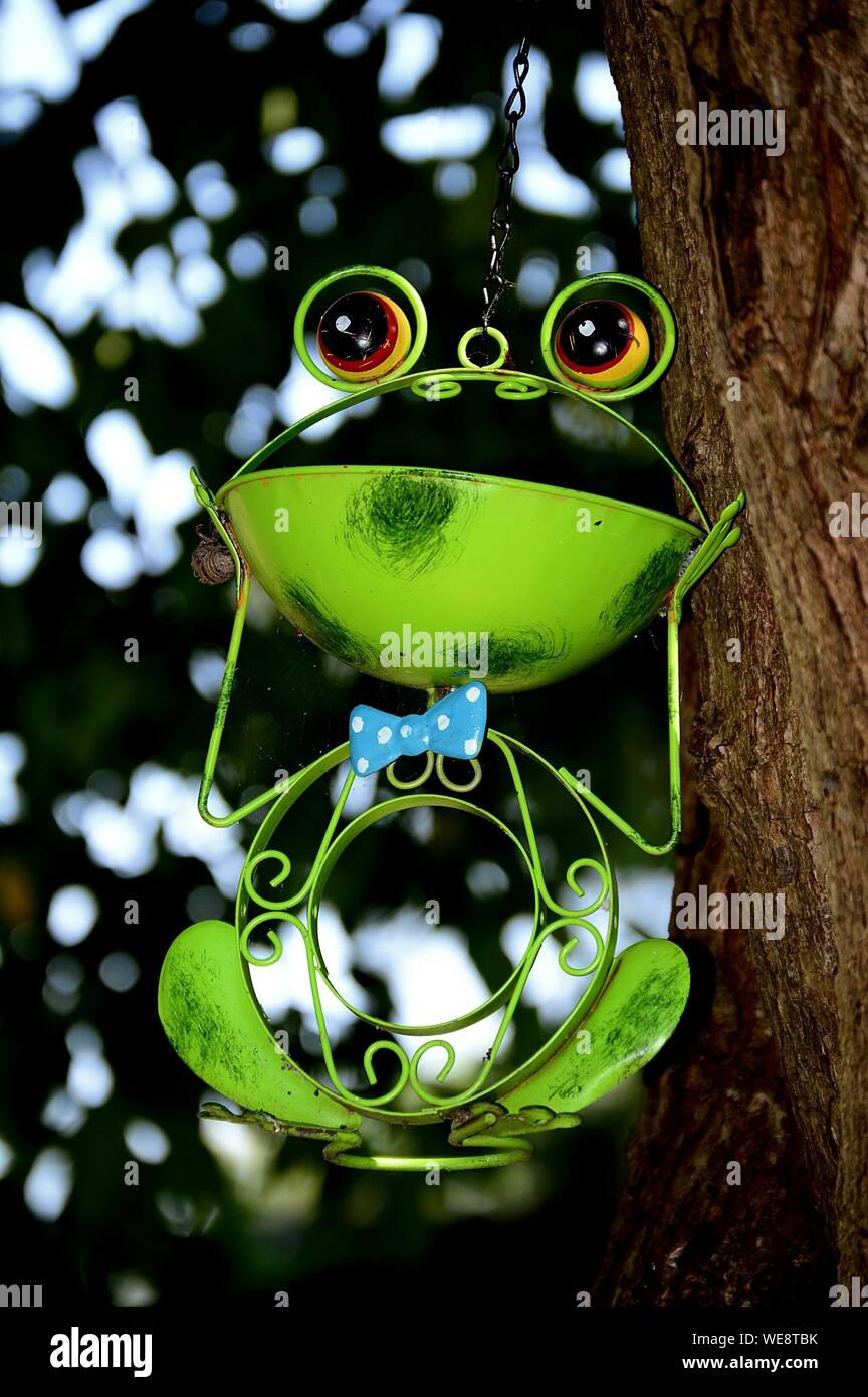 Hanging Frog Green Tree Frog High Resolution Stock Photography and ...