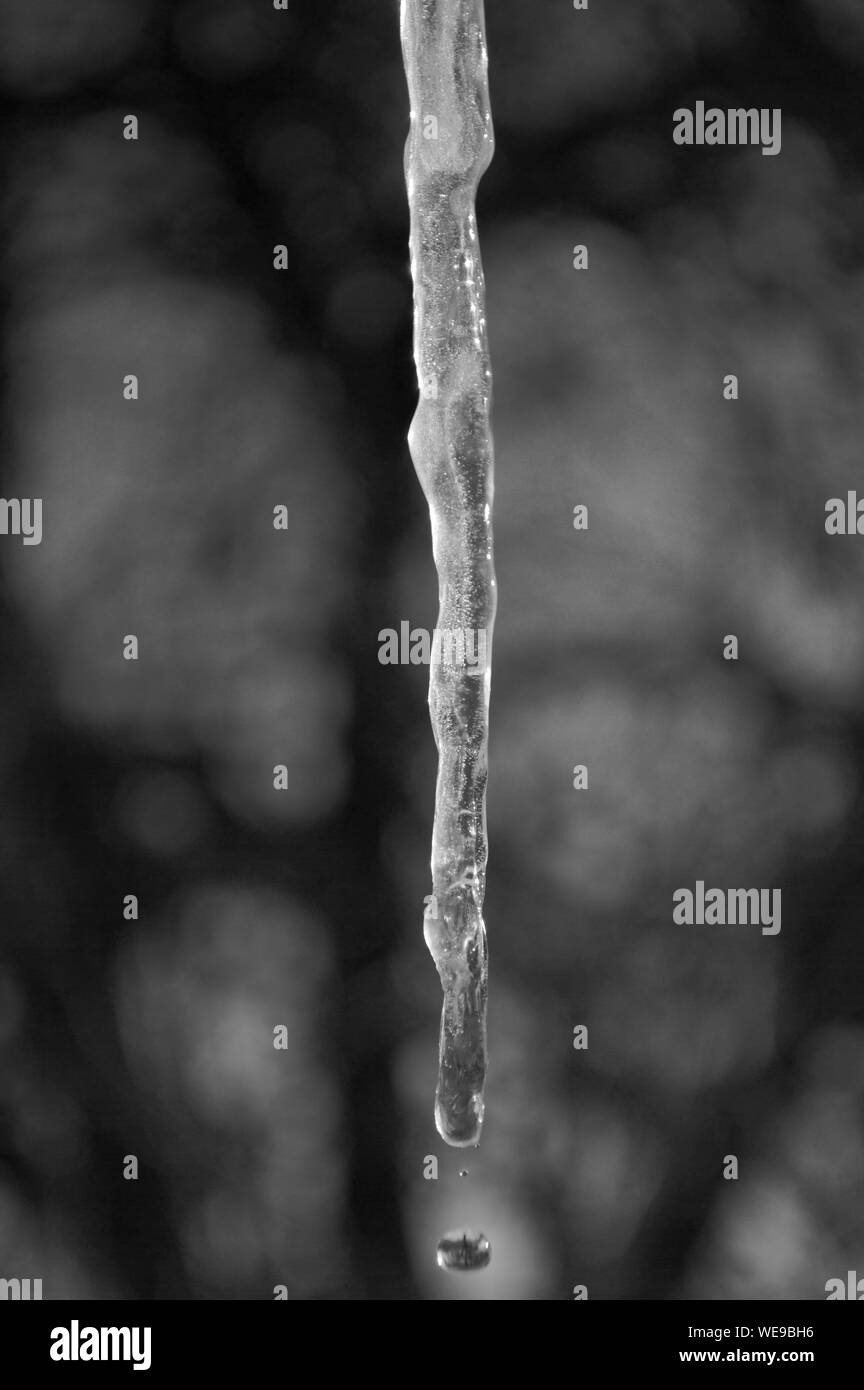 Frozen dripping water hi-res stock photography and images - Alamy