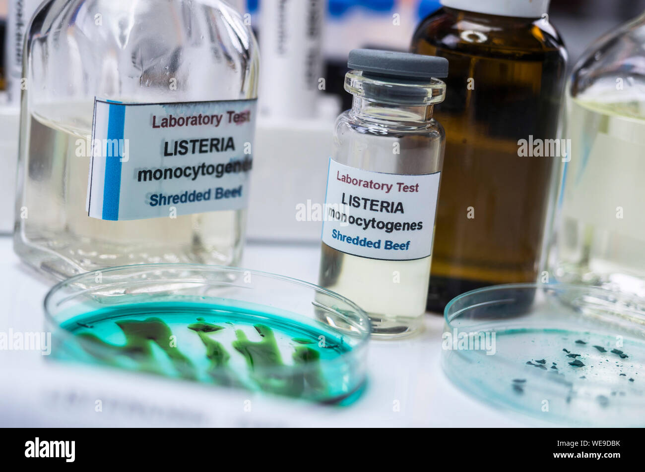 Listeria monocytogenes petri hi-res stock photography and images - Alamy