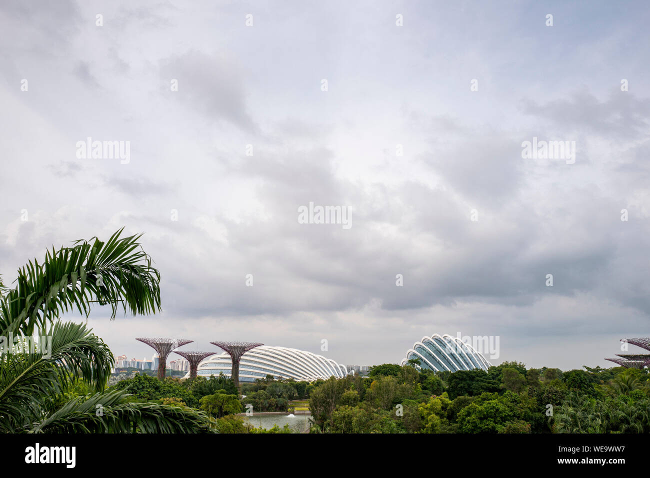 Singing forest hi-res stock photography and images - Alamy
