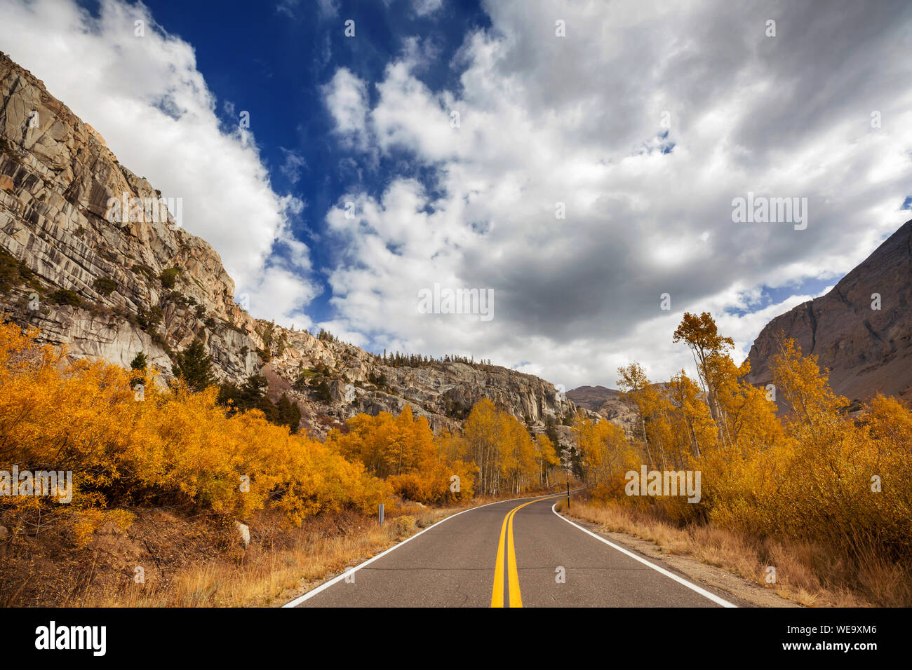 Colorful Autumn scene on countryside road in the forest Stock Photo - Alamy