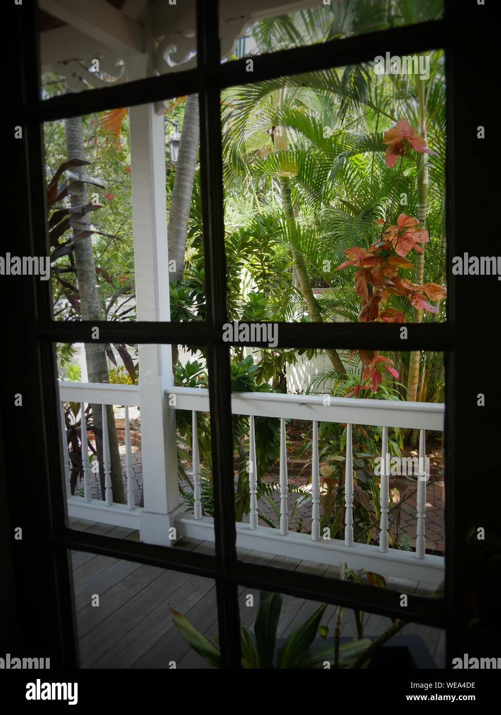 Glass window view of a wooden house overlooking the gardens Stock Photo ...