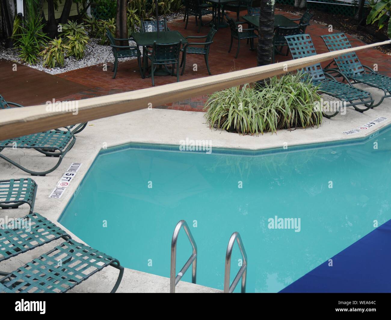 Top view of a backyard pool with loungers Stock Photo - Alamy