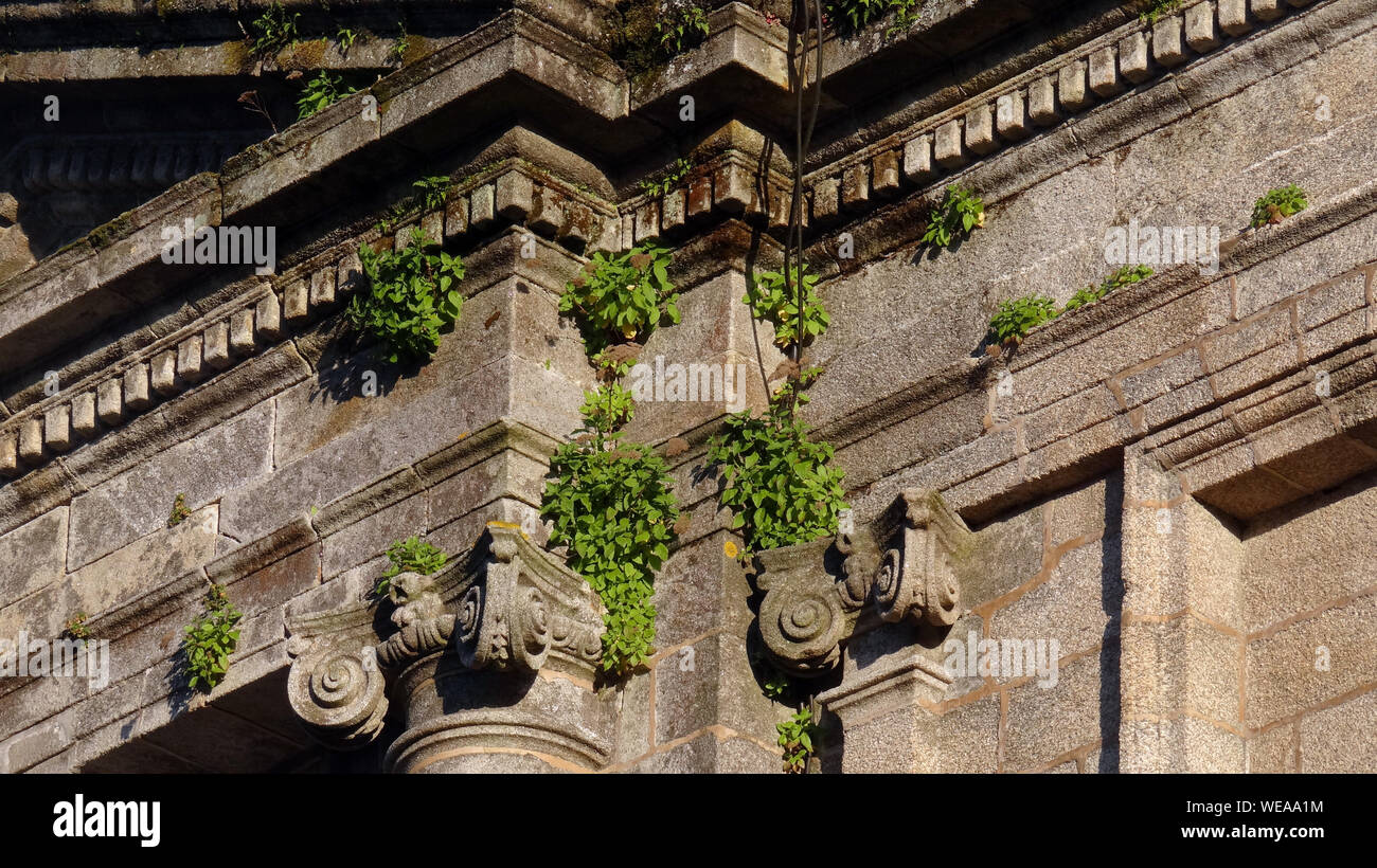 Plants growing building architecture hi-res stock photography and ...