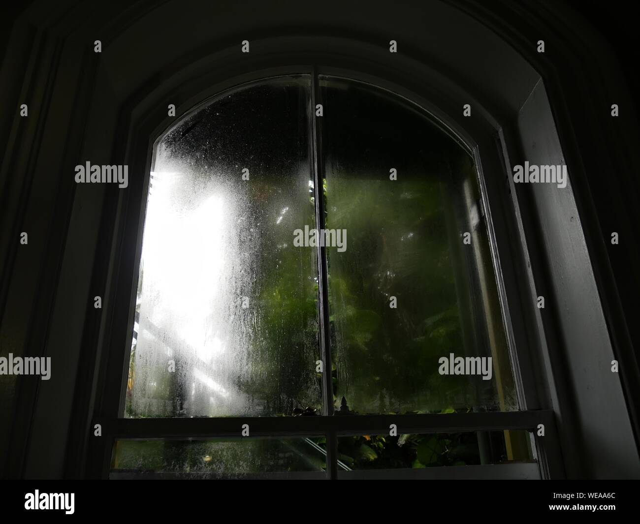 Dark green misty view from a glass window on a rainy day Stock Photo ...