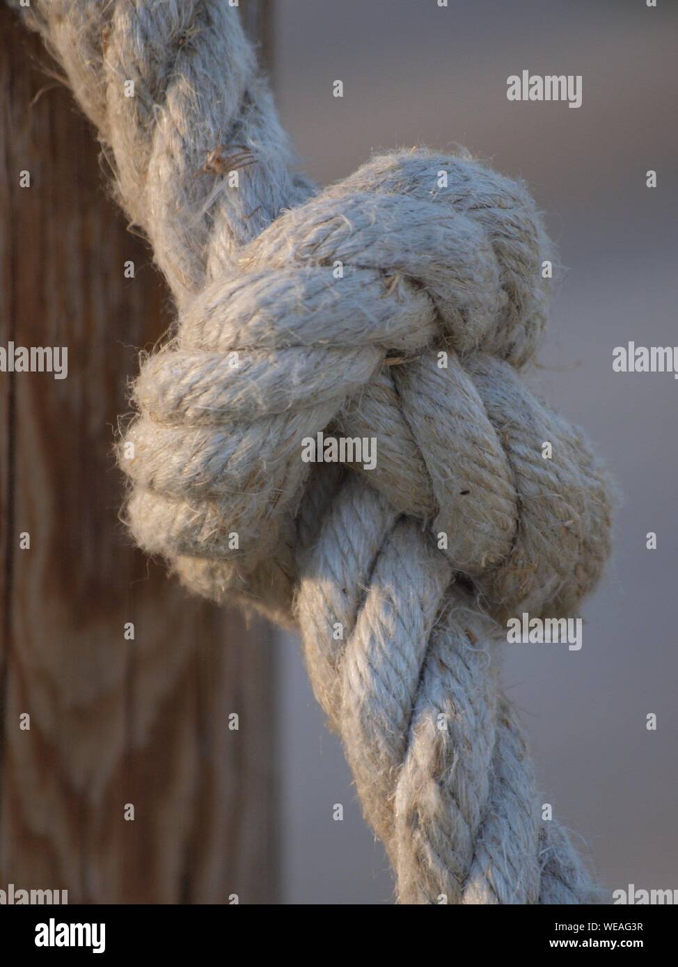 Knotted part hi-res stock photography and images - Alamy