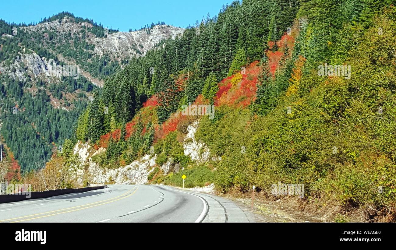 Trees Covering Road High Resolution Stock Photography and Images - Alamy