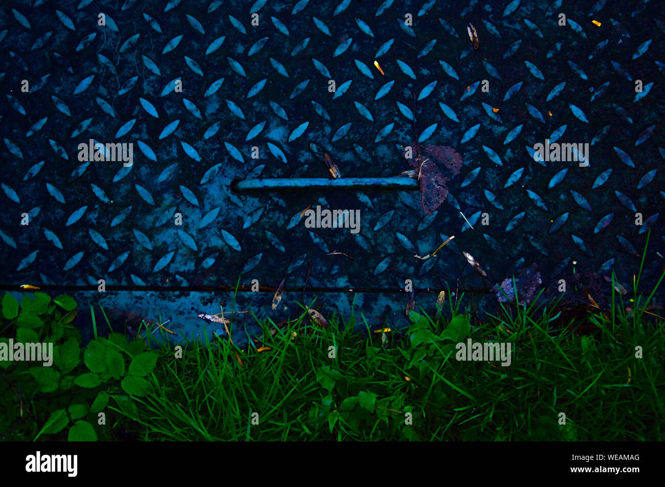 Metal grass hi-res stock photography and images - Alamy