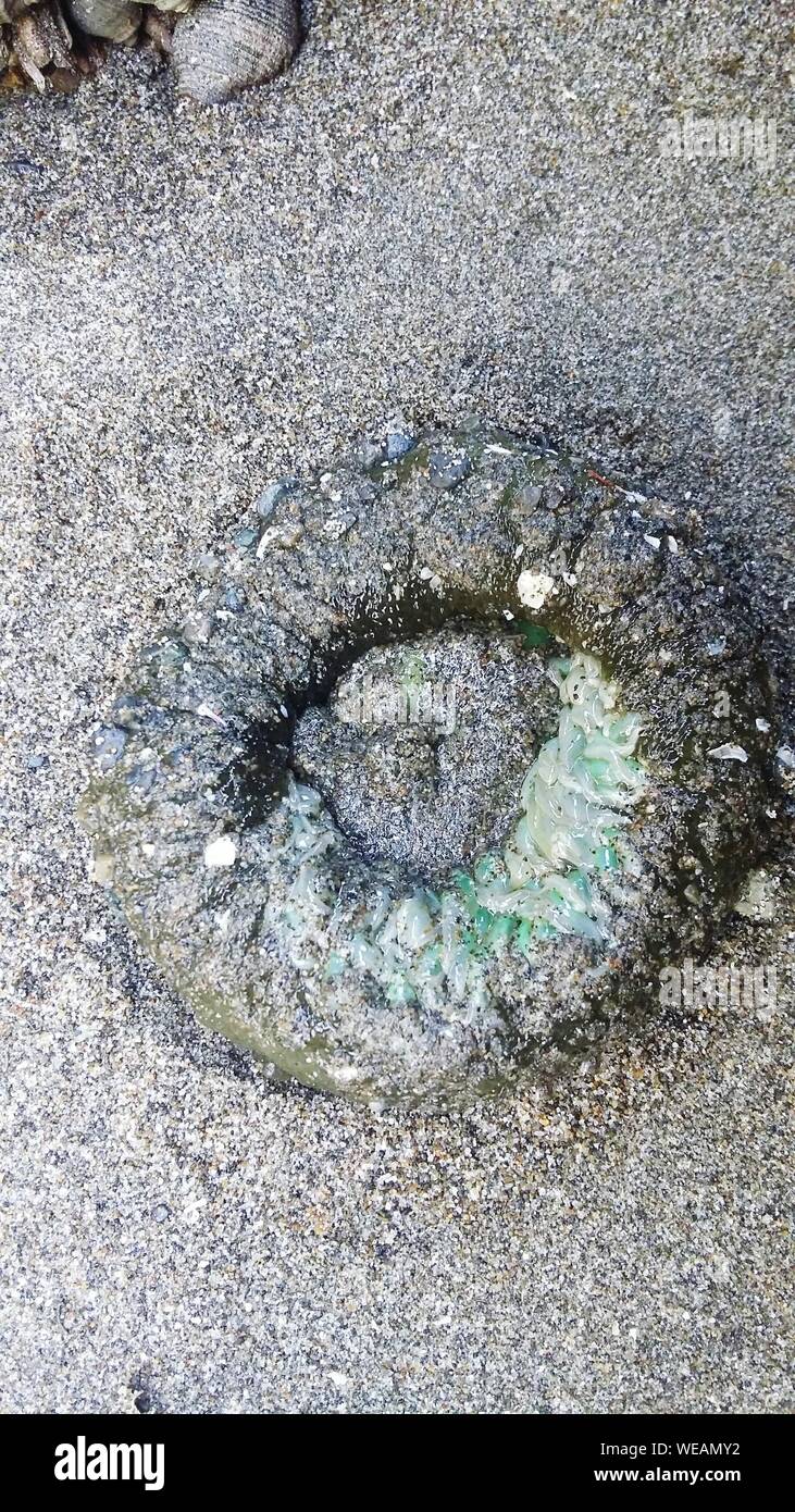 Rock wet hi-res stock photography and images - Alamy