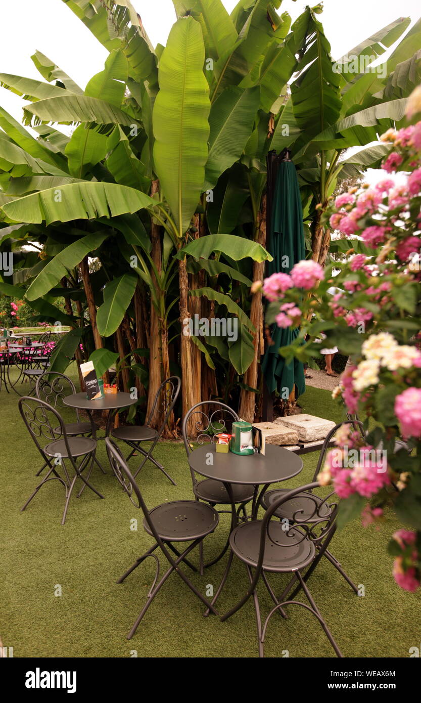 Growing tables hi-res stock photography and images - Alamy