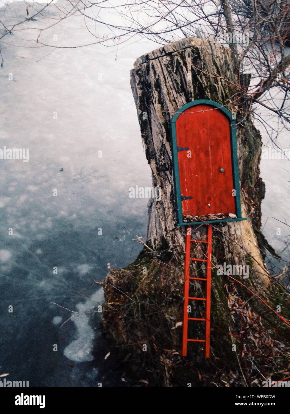 Tree trunk door hi-res stock photography and images - Alamy