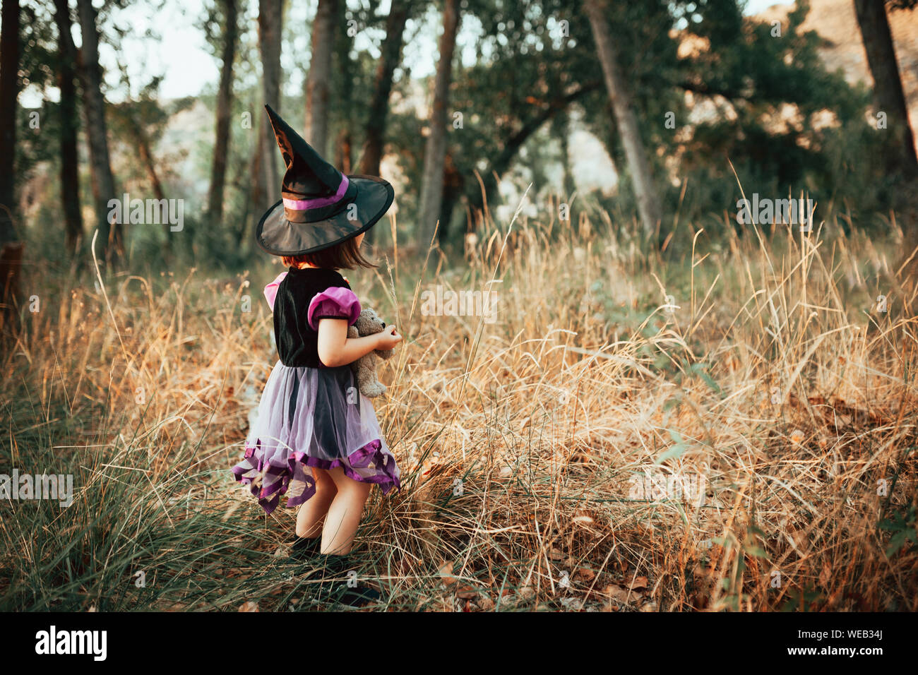 Girl standing disguised as a witch in the woods during Halloween Stock ...