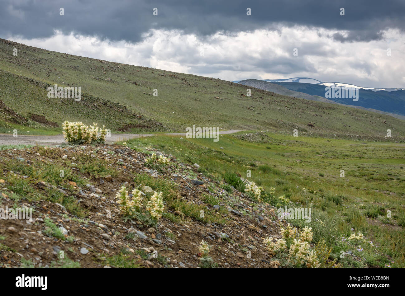 Slope yellow hi-res stock photography and images - Alamy