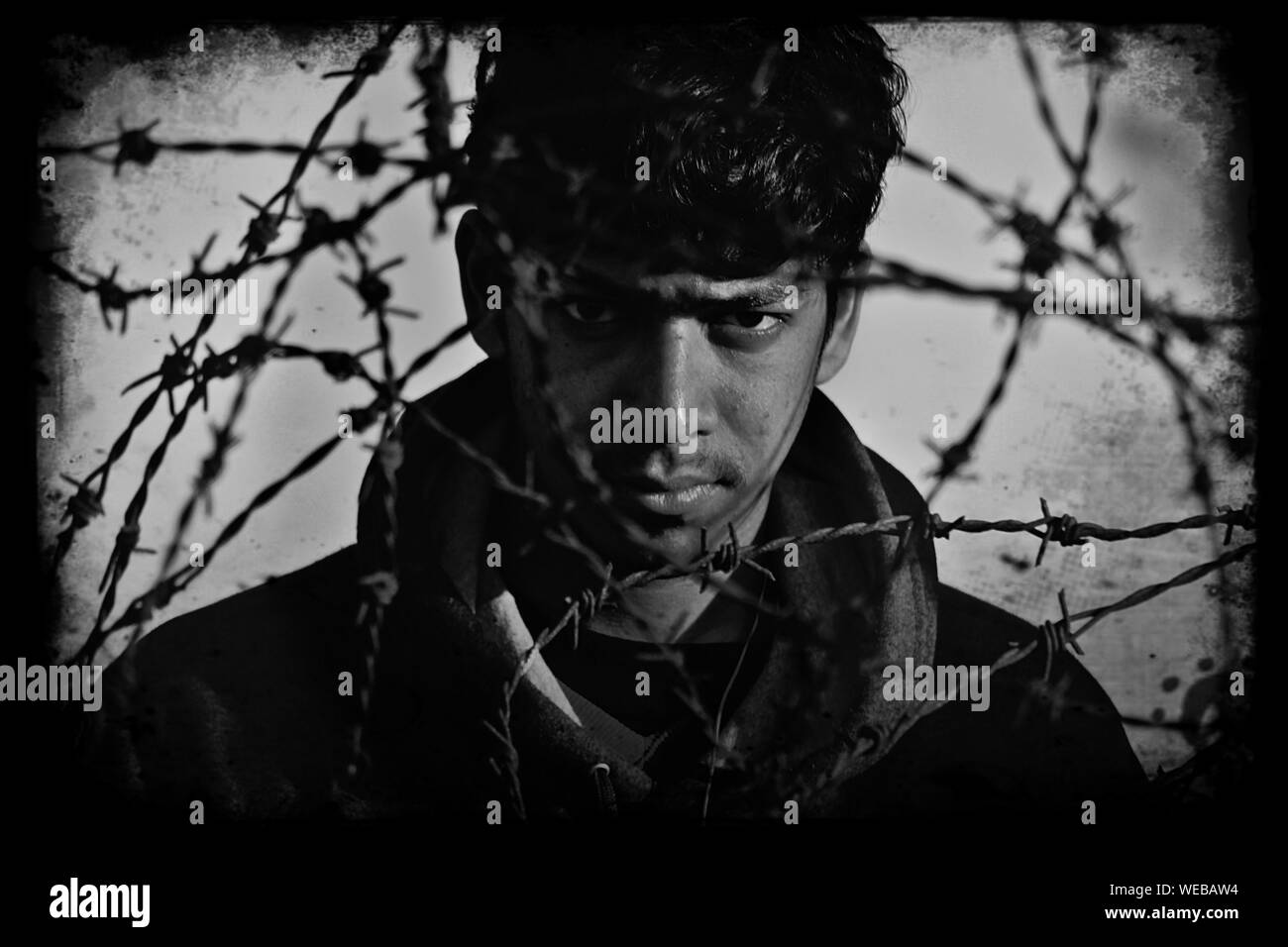 Looking through barbed wire hi-res stock photography and images - Alamy