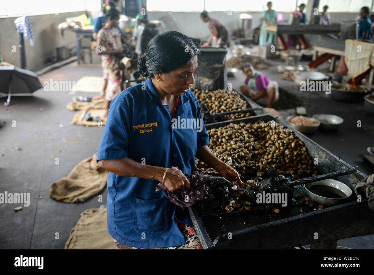 Nut cracking process hi-res stock photography and images - Alamy