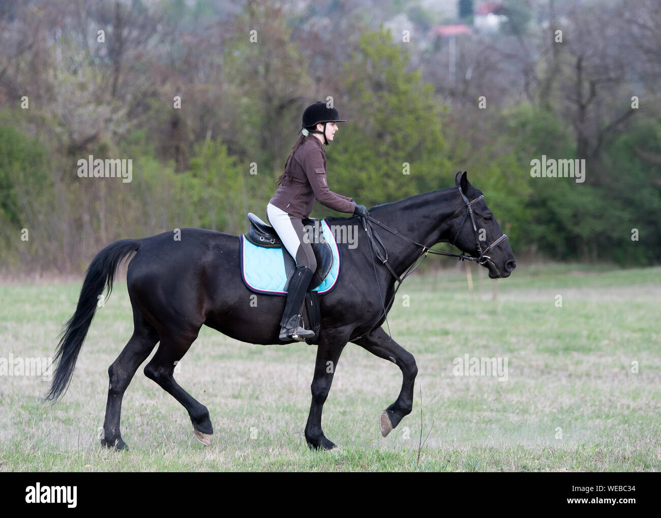 Horse riding grass woman hi-res stock photography and images - Alamy