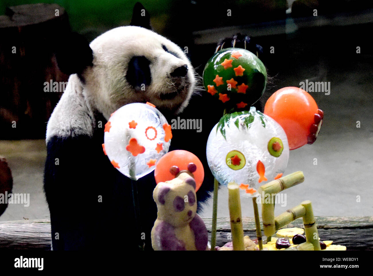 Tuan tuan yuan yuan pandas hi-res stock photography and images - Alamy